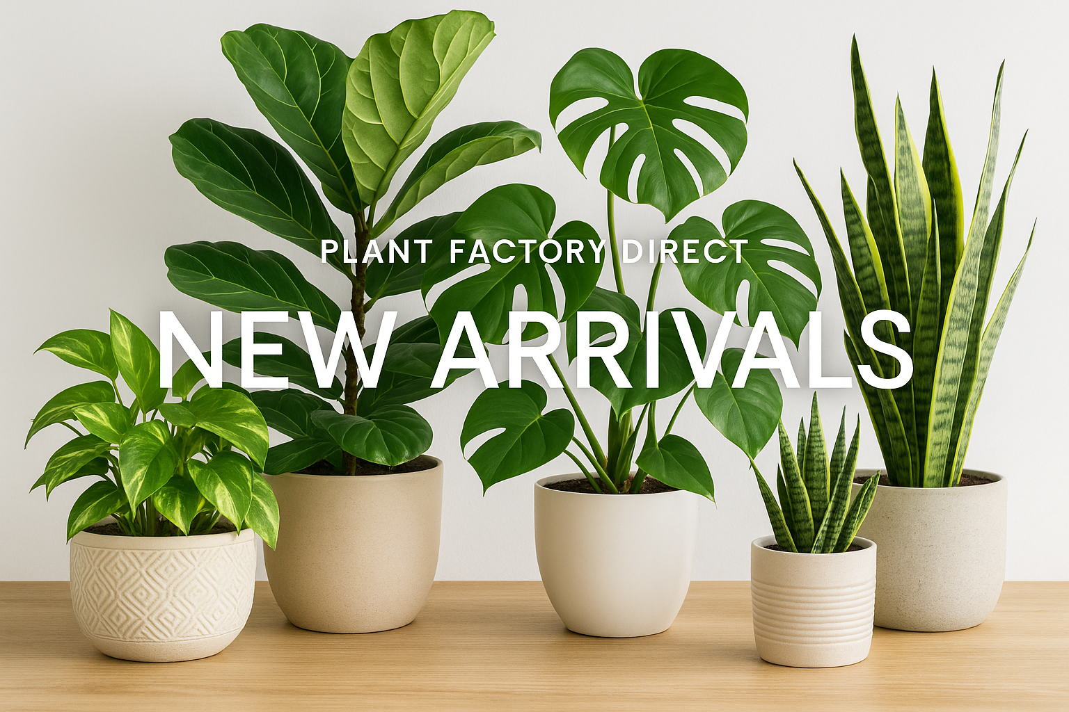 New Arrivals – Plant Factory Direct